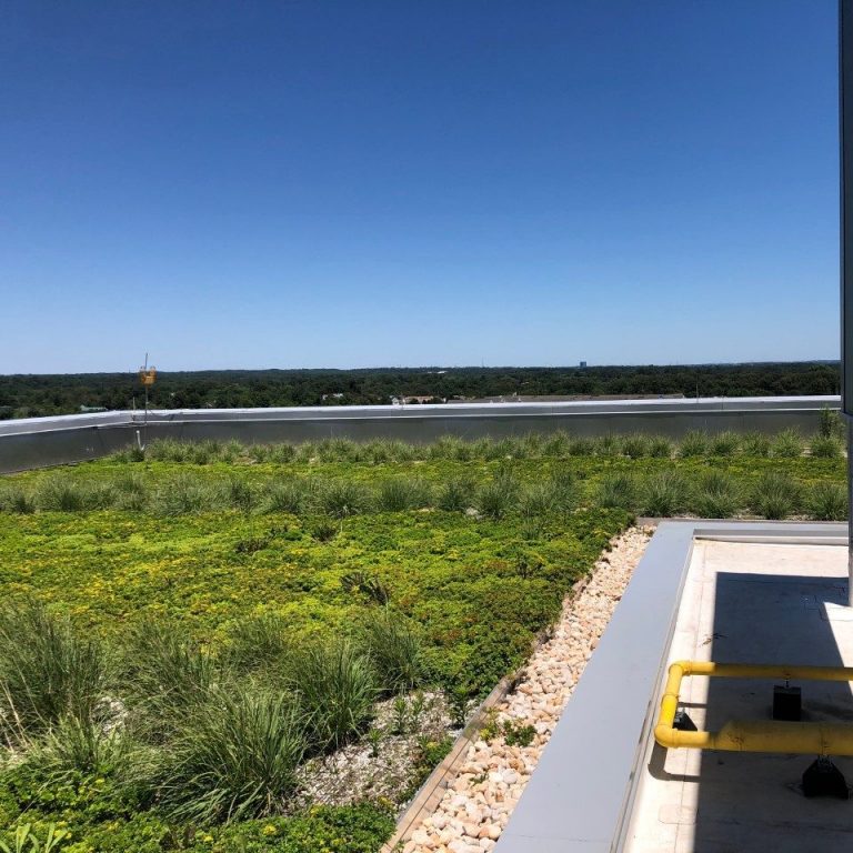 Harbor Roofing – Building Above and Beyond